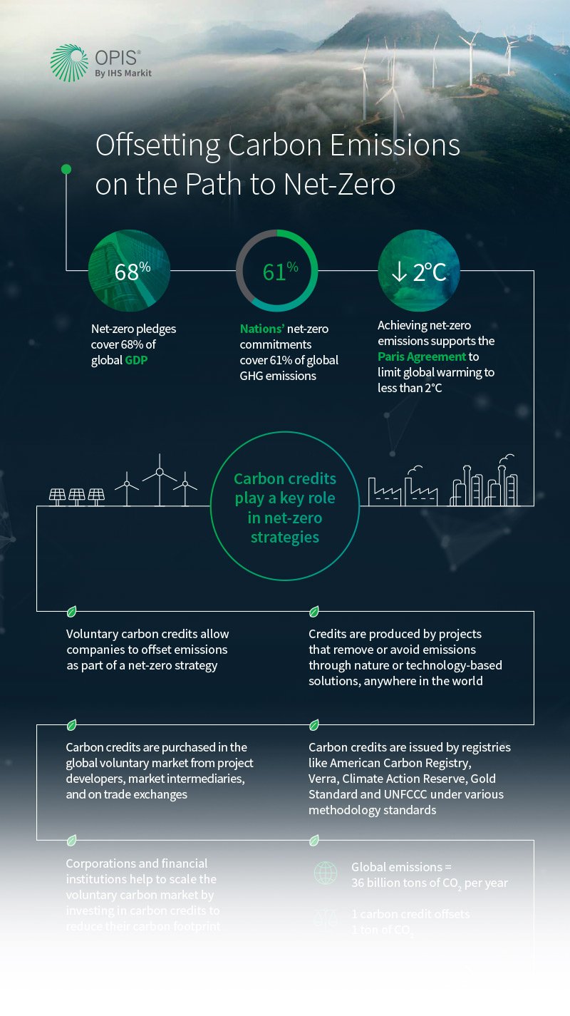 Carbon Credits Play a Key Role in Net-Zero Strategies